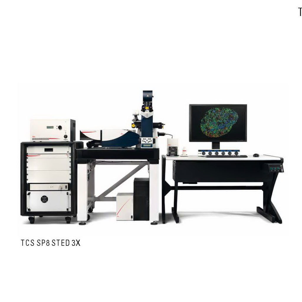 Achucarro installs the latest technology in super-resolution microscopy ...