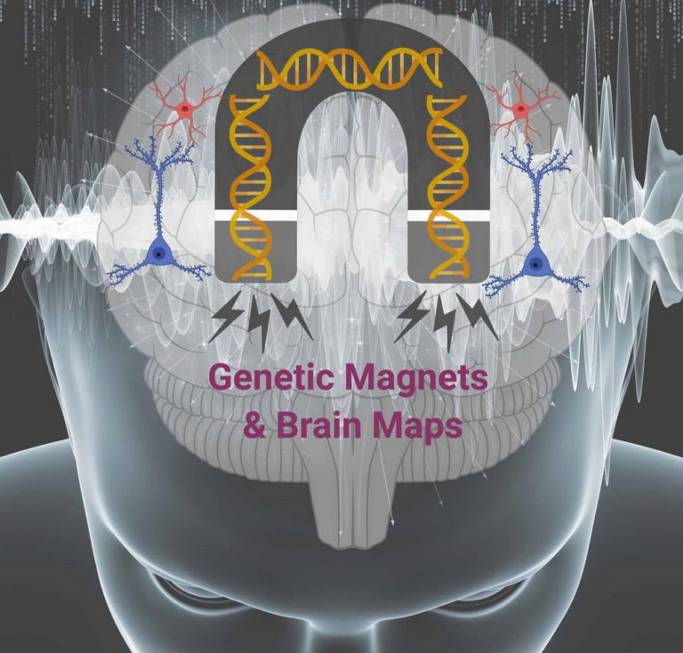 A novel genetic technology for functional mapping of the entire brain ...